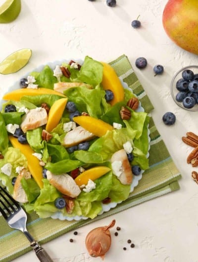 Blueberry Chicken Salad with Mango Vinaigrette- A Well Seasoned Kitchen