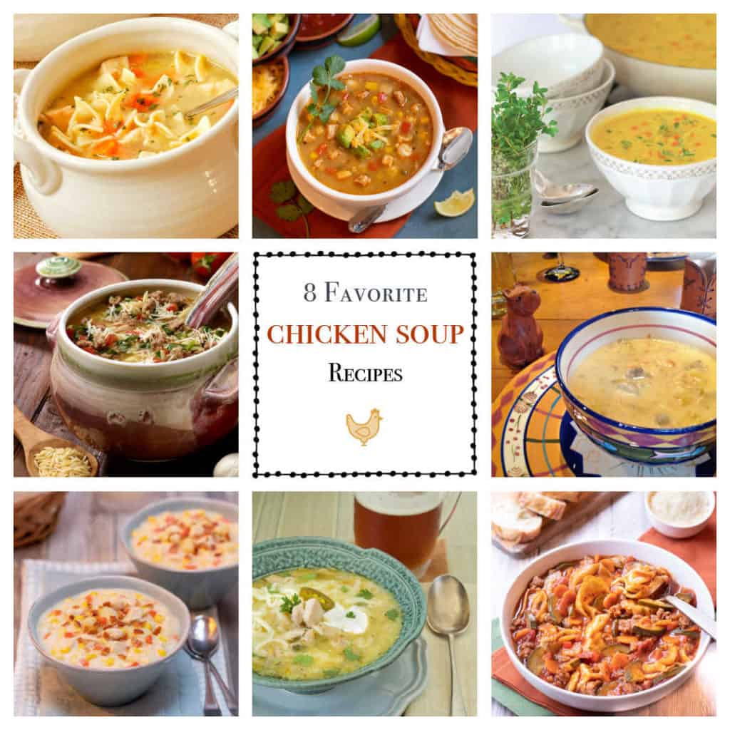 Homemade Chicken Noodle Soup Recipe - A Well-Seasoned Kitchen®