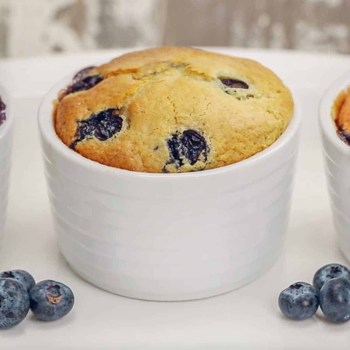 Individual Blueberry Cakes | A Well-Seasoned Kitchen®