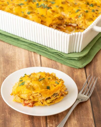 Layered Chicken Enchilada Casserole - A Well-Seasoned Kitchen®